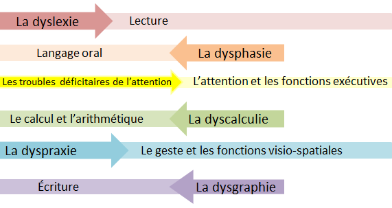 Coin Pédago Mieux Comprendre Les élèves Dys Editions Hatier